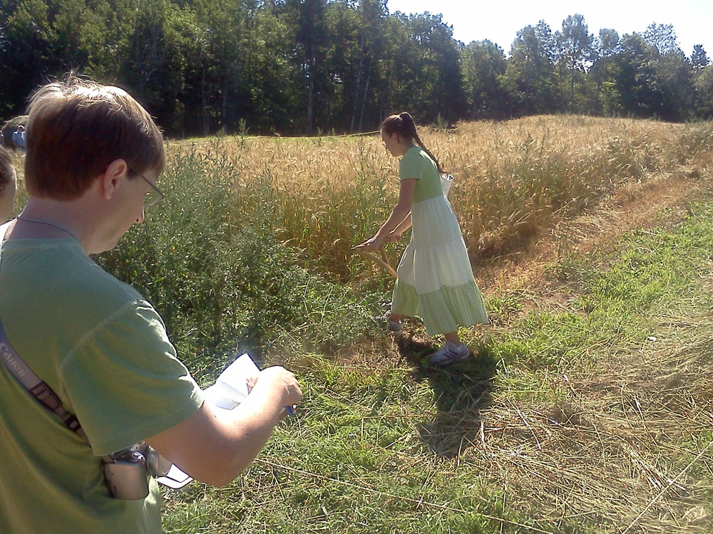 Large Fierce Mammal » Scythe Matters